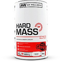 Mass Gainer